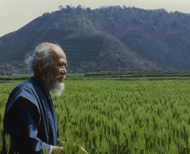 "The One-Straw Revolution" by Masanobu Fukuoka | Captain Forest