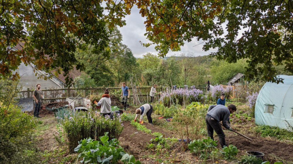 Observation of Nature To Develop Ecological Consciousness | Captain Forest